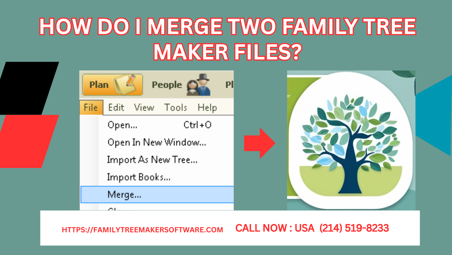 How Do I Merge Two Family Tree Maker Files?